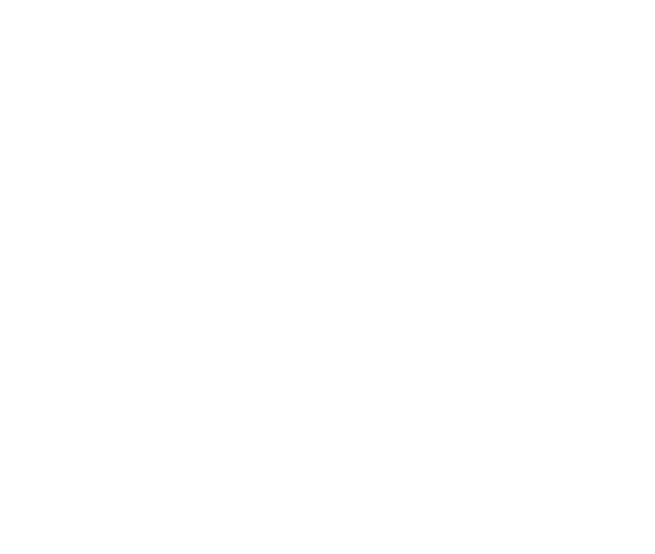 The District NDI Convention And Election | Handbook